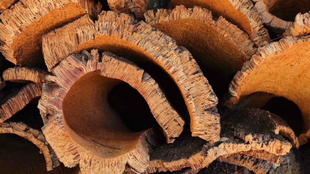 Kurkexcursies: ontdek de wereld van de kurk in de Algarve > Eliza's Blog