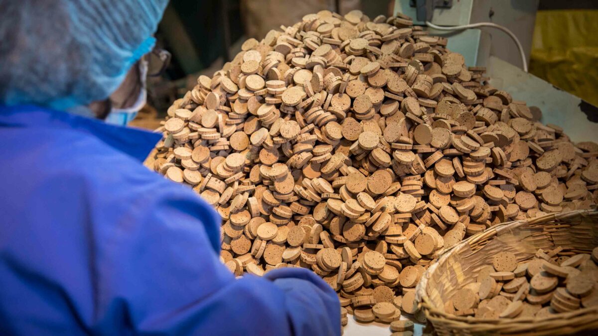 Kurkexcursies: ontdek de wereld van de kurk in de Algarve > Eliza's Blog